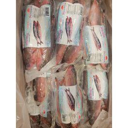 RED TAIL FUSILIE