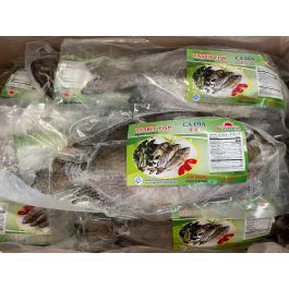 RABBIT FISH