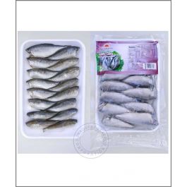 LADY CARP