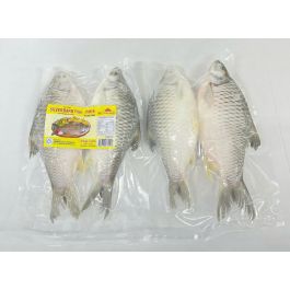 SILVERBARB W/R